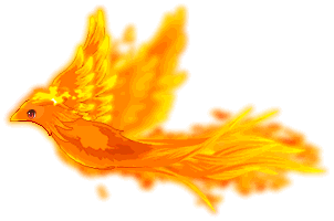 Flame Bird Riding | Orange Mushroom's Blog