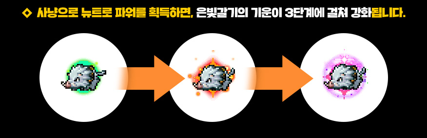 Silver Mane Stages | Orange Mushroom's Blog